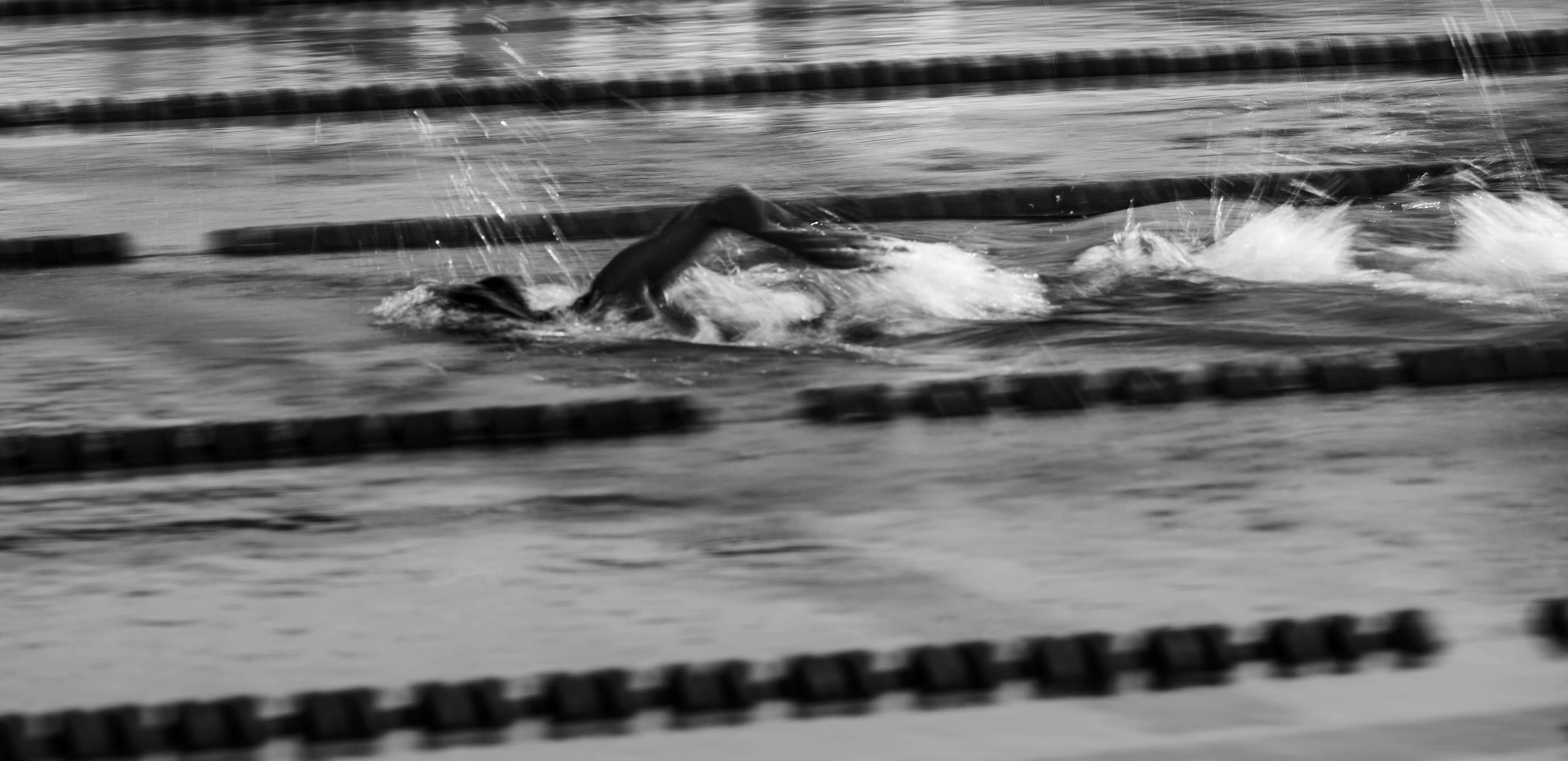 FORM Swim Blog: App Updates, Swimming Tips, News, & More